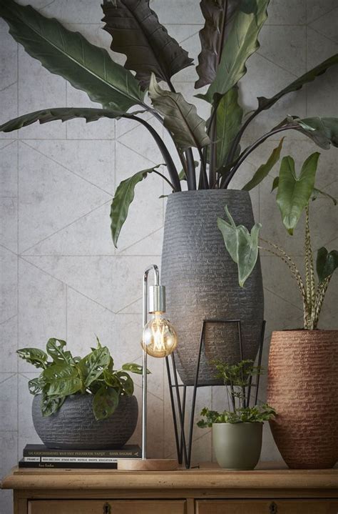 Mica Decorations Blom ყვავილების ქოთნის სადგამი შავი Veli Store