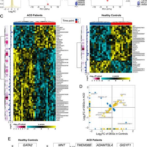 Global Transcriptome Patterns And Differential Expression Analysis In Download Scientific