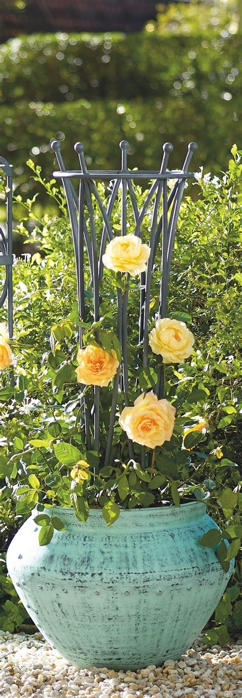Leighton Garden Trellis Grandin Road Garden Trellis Trellis