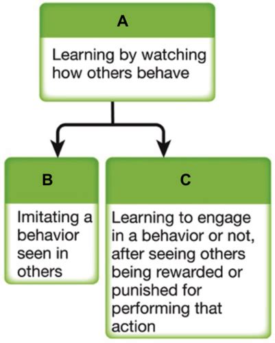 PSYC 2010 CHAPTER 6 Flashcards Quizlet PSYC 2010 CHAPTER 6 Flashcards Quizlet