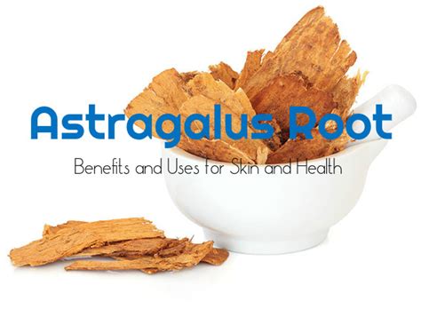 Astragalus Root Benefits And Uses For Skin And Health Stylish Walks