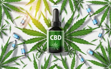 CBD And Drug Interactions What You Need To Know THC STORE INDIA