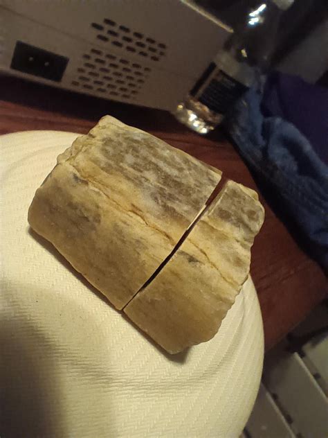 Fossilized Bone R Fossilid