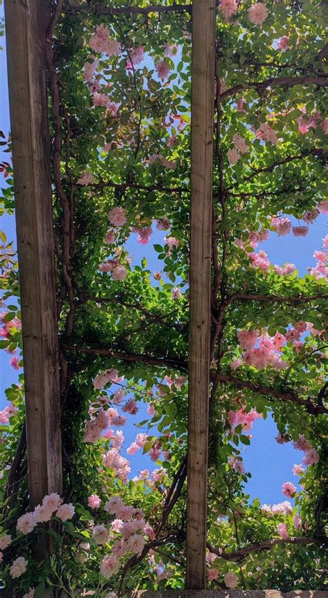 아이폰 감성 배경화면 초록색 인스타 분위기 바탕화면 모음 초록초록