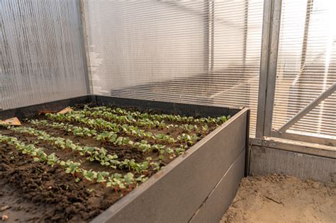 기술자가 드라이버로 고장난 랩톱 컴퓨터를 수리합니다 노트북 구성 요소 및 부품 클로즈업 0명에 대한 스톡 사진 및 기타 이미지 0명 Cpu 깨짐 Istock