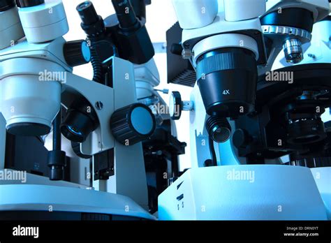 Light Microscope Lab At George Moss Blog