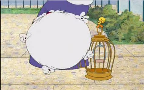 Tweetys High Flying Adventure Sylvester Inflation By Fatrabieslover10 On Deviantart