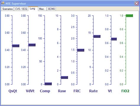 Ecmo Simulation User Manual V5 4