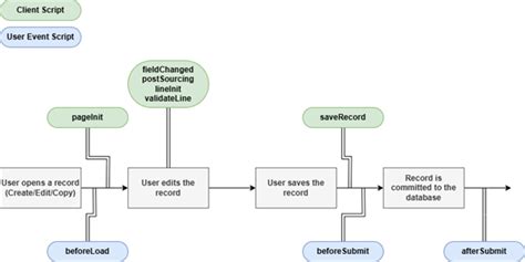 Understanding Netsuite Scripts A Guide To Customization Foodqloud Bv
