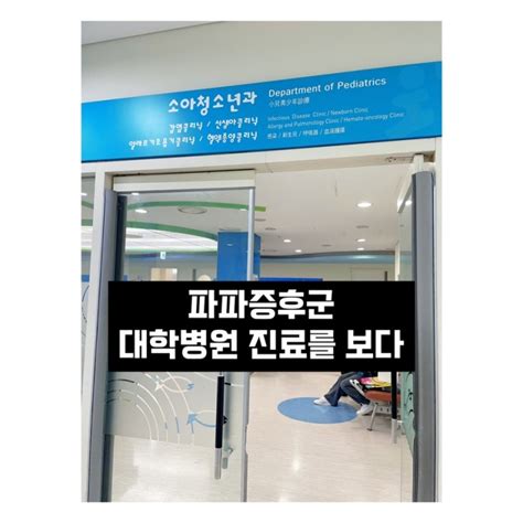 파파 증후군 드디어 대학병원 진료를 보다 양산부산대병원 부산대학교어린이병원 불명열 네이버 블로그