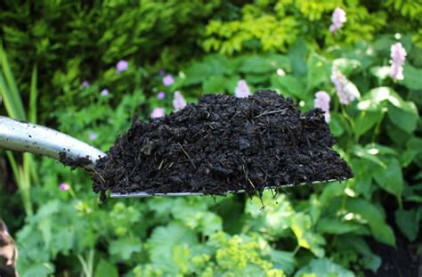 Composting Are You Obsessed Gardenista