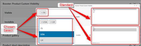 Product Custom Visibility For Woocommerce Plugin Booster For Woocommerce