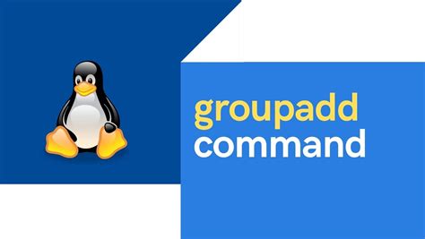 10 Groupadd Command Examples In Linux Cheat Sheet Golinuxcloud