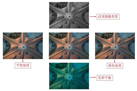 科研论文作图之imagej 知乎 科研论文作图之imagej 知乎