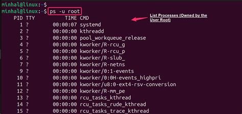 How To List Running Processes In Ubuntu 2404 Top 4 Ways