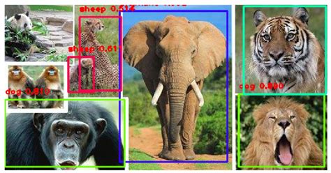 RetinaNet Of DL Train Your Own Data Set H5 File Based On RetinaNet