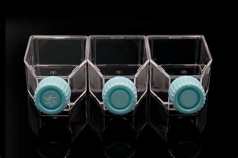 Cell Culture Flask T25 T75 T175 T225 Cm2 Size Tc Treated And Non Tc