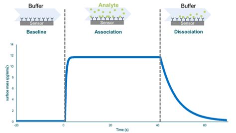 Dissociation Constant Overview Malvern Panalytical