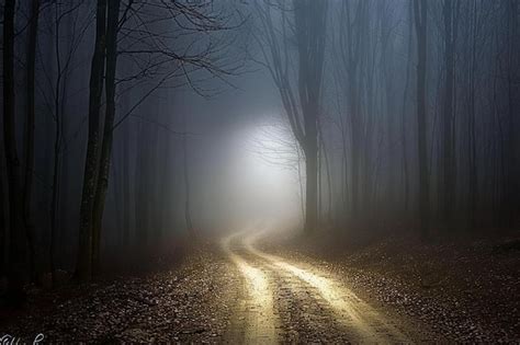 164 000 Path Dark Pictures