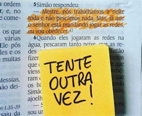 Alessandra Maria Dias Coury Posted On Linkedin