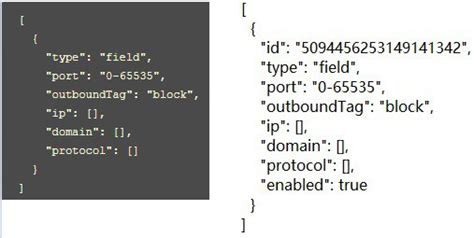 [bug] 从规则集导出的规则其他机器无法使用 · issue 3689 · 2dust v2rayn · github