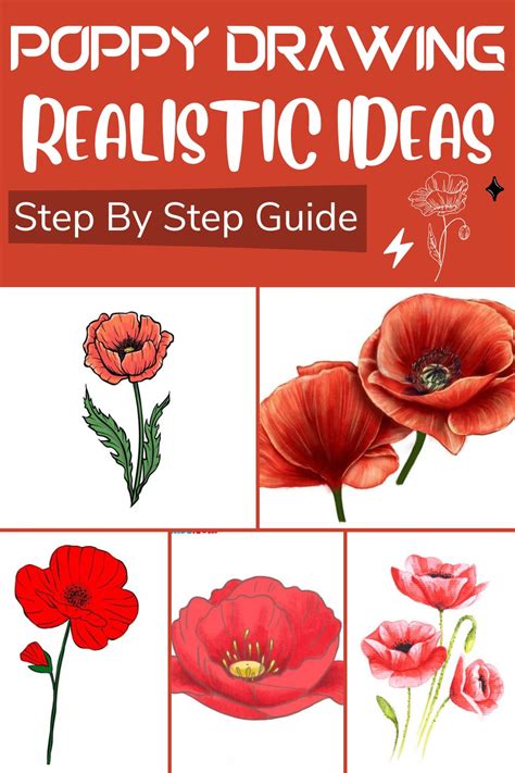 How To Draw A Poppy Flower Step By Step At Zoe Oatley Blog