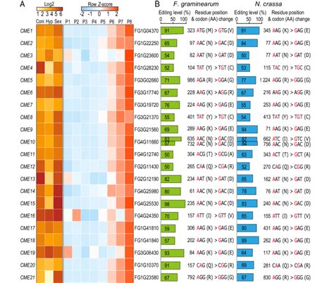 Expression Patterns Of 21 CME Genes And Editing Information Of 22 CME Download Scientific