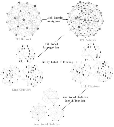 Figure 2 From A Robust Algorithm Based On Link Label Propagation For Identifying Functional
