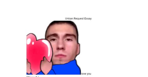 My Unban Request Essay Remoney