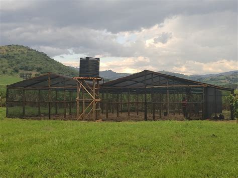 Shade Net House Farming 2025 Affordable Shade Netting