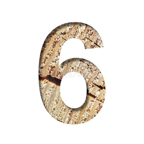 Tree Trunk Font Stock Illustrations 937 Tree Trunk Font Stock