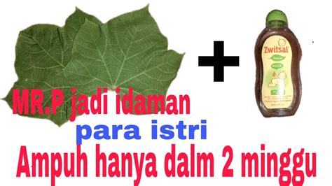 Cara Memperbesar Dan Memperpanjang Alat Vital Pria Youtube