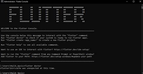 Sdk Flutter Doctor Returns Flutter Bin Cache Was Unexpected At This Time Stack Overflow