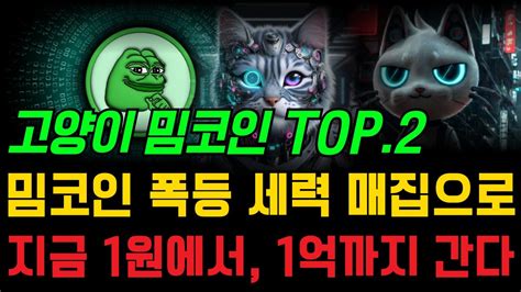 코인추천 코인 세력이 매집한 고양이 밈코인 Top2 1원에서 1억까지 수직 상승 나옵니다 Youtube