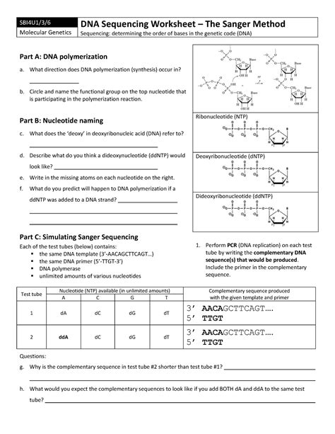 Dna Sequencing Ws Notes Warning Tt Undefined Function 32 Warning Tt Undefined Function
