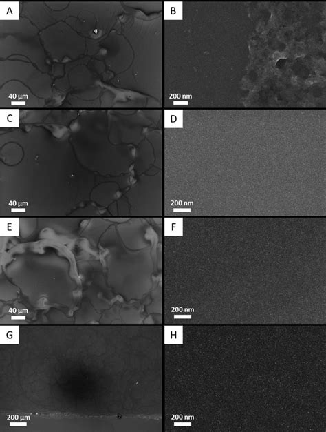 The Sem Micrographs Of Tio2 Nrs Deposited By Spray Coating On Silicon