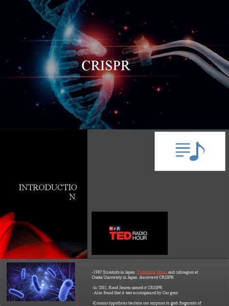 Crispr Presentation Pdf