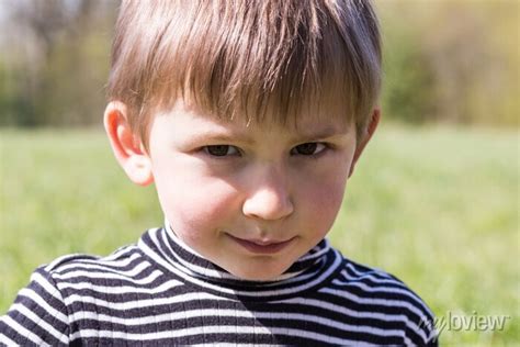 Portrait Dun Enfant Garçon De Cinq Ans En Extérieur • Adesivos Para A Parede Crescer Aventura