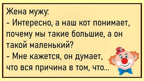 🔥Жена Будит Ночью Мужа Большой Сборник Весёлых Анекдотов Для Супер Настроения Youtube