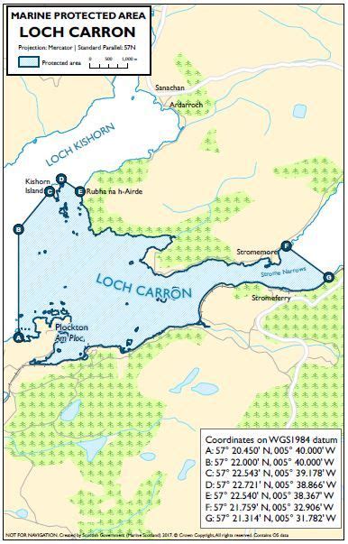 Protecting Flame Shell Reefs In Loch Carron And Beyond Scotlink