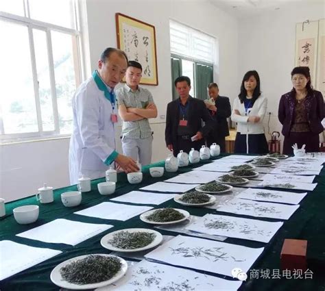 商城縣首屆其鵬杯茶賽擂台上 每日頭條