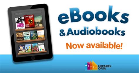access database design and programming 3rd edition audiobook download