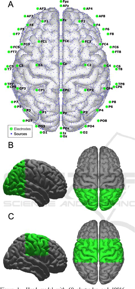 Figure From Low Density EEG For Source Activity Reconstruction Using Partial Brain Models