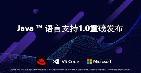 Vs Code 的 Java 语言支持 10 版本，正式发布！ 知乎