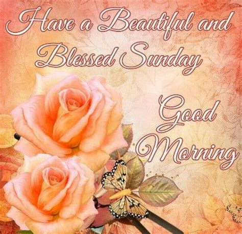 Have A Beautiful And Blessed Sunday Pictures Photos And Images For Facebook Tumblr Pinterest