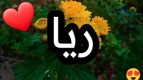 أغنية أسم ريا ريا ريا اغنية اغاني Youtube