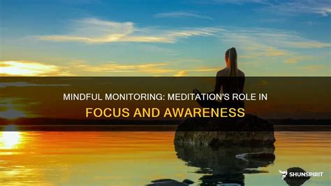 Mindful Monitoring Meditations Role In Focus And Awareness Shunspirit