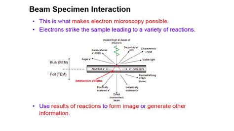 Scanning Electron Microscope Sem Tem Pdf