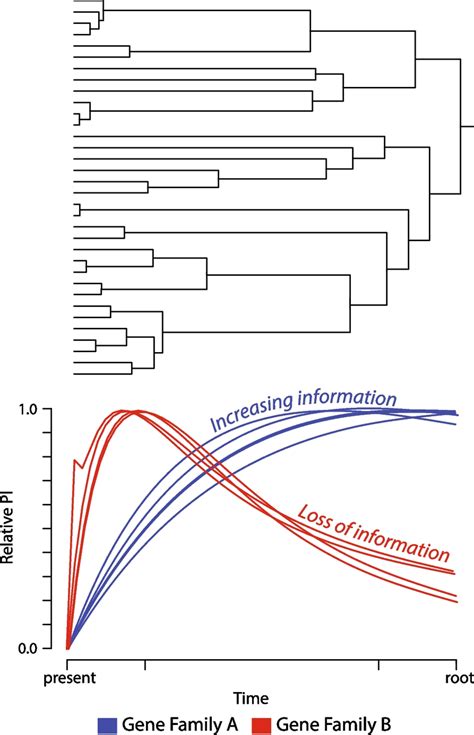 Concepts Of The Phylogenetic Informativeness Of Gene Families And The