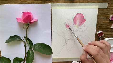 Рисуем вместе розу акварелью 🌹Роза с натуры Youtube